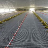 China Versatile Steel Chicken House for Modern Poultry Operations for sale