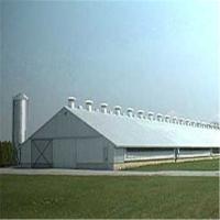 China Modern Steel Frame Chicken House with High-Quality Insulation for sale