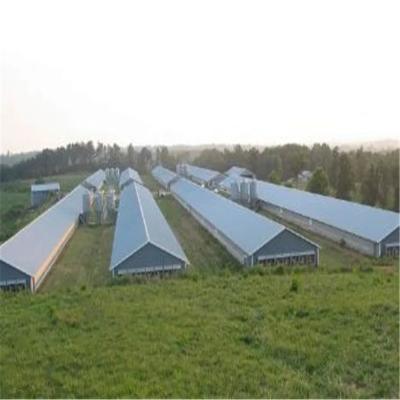 China Modern Steel Frame Chicken House for Efficient Poultry Production for sale