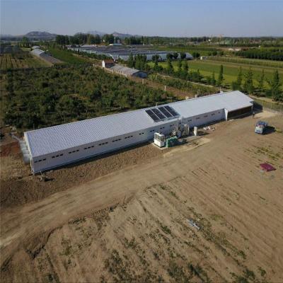 China Fast Construction Steel Structure Chicken House for Poultry Farmers for sale