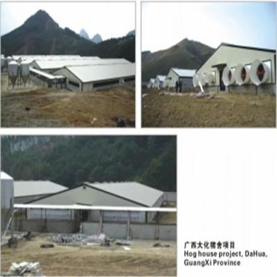 China Long Span Industrial Pig Farm Steel Structure Construction Modern Breeding Facility for sale