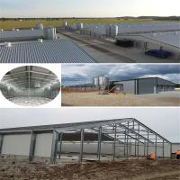 China Long Span Industrial Pig Farm Steel Structure Construction Modern Breeding Facility for sale