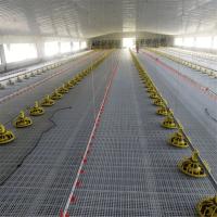 China Long Span Industrial Pig Farm Steel Structure Construction Modern Breeding Facility for sale