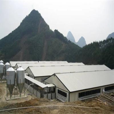 China Durable Modern Chicken House with Steel Frame Construction and Insulation for sale