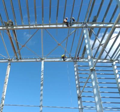 China China 20'gp/40'hc Installation Guidence Steel Structure Chicken House for sale