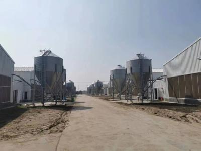 China Steel Structure Modular Chicken House with Xgz Model for Various Applications for sale