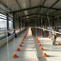 China Steel Structure Buildings Pig Chicken Livestock with Rational Layout and Solid Construction for sale