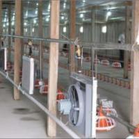 China Steel Structure Buildings Pig Chicken Livestock with Rational Layout and Solid Construction for sale