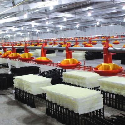 China Steel Structure Farm Shed with Stable Frames and Rain Proof Roofs for sale