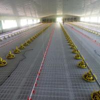 China Steel Structure Farm Shed with Stable Frames and Rain Proof Roofs for sale