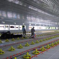 China Steel Structure Farm Shed with Stable Frames and Rain Proof Roofs for sale