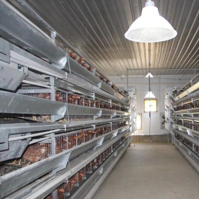 China Sturdy Steel Livestock Shed with Leak Proof and Solid Structure for sale