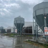 China Sturdy Steel Livestock Shed with Leak Proof and Solid Structure for sale
