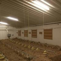 China Steel Structure Construction Chicken House for Efficient and Hygienic Poultry Farming for sale
