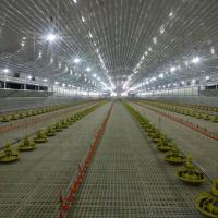 China Weather Proof Steel Agricultural Shed with Long Service Life for sale