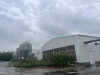 China Industrial Strength Steel Structure Chicken House Optimized for Modern Broiler Cages for sale