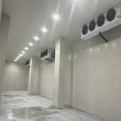 China Light Steel Structure Frame Cold Storage with Fast Construction and Quality for sale