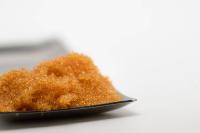 China YZX-3 Polymeric Adsorbent Juice Resin for Pesticides Removal for sale
