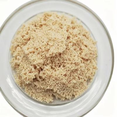 China YZ009 Plant Extracts Purification Adsorption Resin Equal to Diaion Sp700 for sale