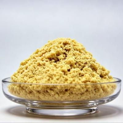 China YZX-3 Juice Treatment Adsorbent Resins Ion Exchange Resin Equal to Amberlite Fpx66 for sale