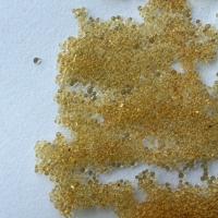 China D113 Acrylic Weak Acid Cation Resin for Industrial Wastewater Calcium Magnesium Removal for sale