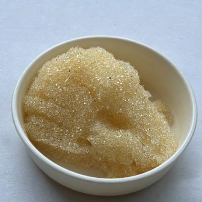 China YZ-201 Custom Strong Base Anion Exchange Resins Nuclear Grade for Semiconductor Ultra Pure Water for sale