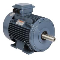 China 250kw 3 Phase Squirrel Cage Motor 355SMC 6 3GBA353230-BSM IE3 M2BAX for sale