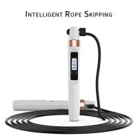 China Fitness Equipment App Customized Logo Steel Wire Jump Rope Skipping Rope for sale