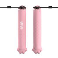 China Professional Electronic  Jump Rope  Student Entrance Examination Fitness for sale