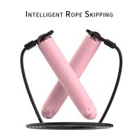 China Professional Electronic  Jump Rope  Student Entrance Examination Fitness for sale