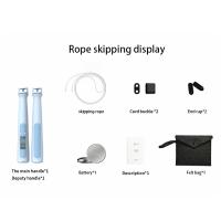 China Electronic Counting Jump Rope Adjustable Long Rope Beginner Girls Fat Reduction Cordless Ball for sale