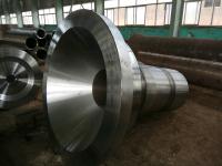 China Forging Custom Flange Pipe Carbon Steel Ring Flange Painting for sale