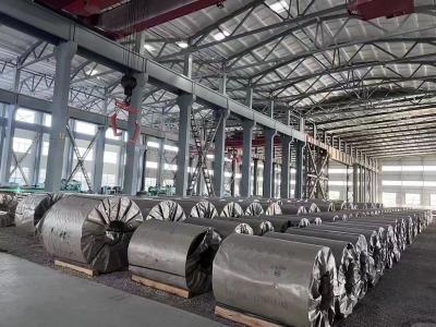 China 201 Ss 304 Stainless Steel Coil 316 409 Plate Sheet Strip 600mm for sale