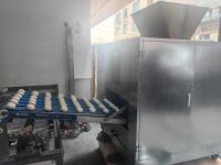 China Stainless Steel Dough Dividing and Rounding Machine 4KW 380V High Precision Detachable for sale