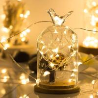 China IP66 Minetom Fairy Lights Plug In Starry String Lights 33Ft 100 LEDs Silver Wire Firefly for sale