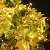 China Warm White 100 LED Christmas Lights USB Powered Silver Wire Mandiq String Lights for sale