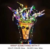 China Color Changing Multi Colored Fairy Lights Remote Timer 8 Mode Starry Long String for sale