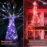 China Fairy String 50 LED Battery Copper Wire Lights Multicolor Changing With Remote for sale