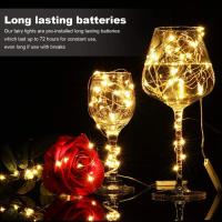 China 20 LED Warm White Mini String Lights For Mason Jars DIY Crafts Decorations for sale
