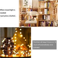 China 100 LEDs Battery Operated String Lights Globe Fairy Lights with Remote Control for Outdoor Tent Camping for sale