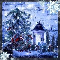 China Cold White LED Fairy Lights 20pcs Battery Operated Mini String Lights For Wedding Halloween for sale
