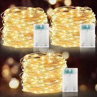 China Copper Wire Lights Battery Operated Timer Fairy Light for Valentine's Day Decoration Garden Yard Party for sale