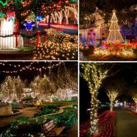 China Bright Fairy String Lights 60 LED Copper Wire Battery Operated Waterproof Lights Christmas Decorations for Indoor Decor for sale