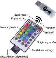 China 16 Colors Changing Fairy Lights 100LED Remote Control USB Copper Wire String Lights for Oudoor Decor for sale