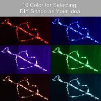 China 16 Colors Changing Fairy Lights 100LED Remote Control USB Copper Wire String Lights for Indoor Room Party Decor for sale