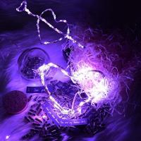 China 16 Colors Changing Fairy Lights 100LED Remote Control USB Copper Wire String Lights for Indoor Room Party Decor for sale