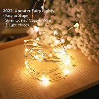 China Warm White Battery Operated Christmas Silver Coated Copper Wire Lights Firefly Twinkle Lights for Party Christmas Decor for sale