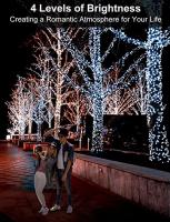 China Christmas String Lights Outdoor with Remote 8 Modes & Memory Timer Green Wire Twinkle Fairy Lights Decor for sale