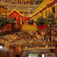 China 29V Warm White Christmas Lights 8 Lighting Modes Fairy Lights With Remote for sale