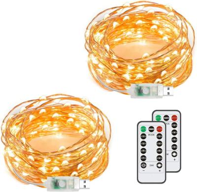 China Warm White 50 LED String Lights Firefly USB Plug In Decorative Starry Lights For Valentine'S Day for sale